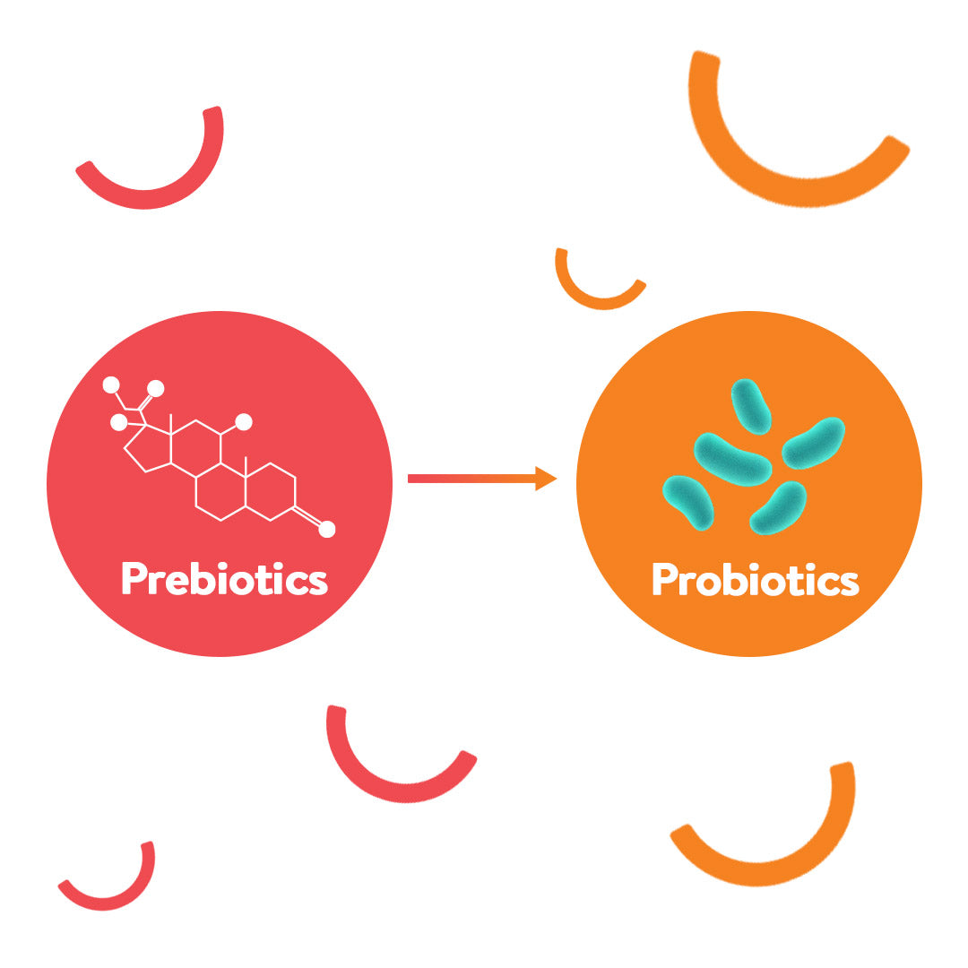 Happy Cultures - Probiotic Science